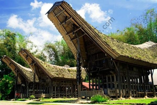 Toraja Tour, Trekking, Adventure Sulawesi Tour Guide